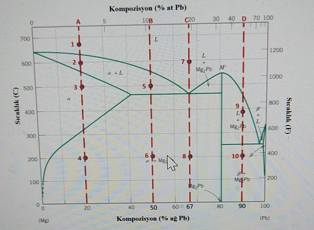 Solved Magnesium-lead (Mg-Pb) phase equilibrium diagram is | Chegg.com