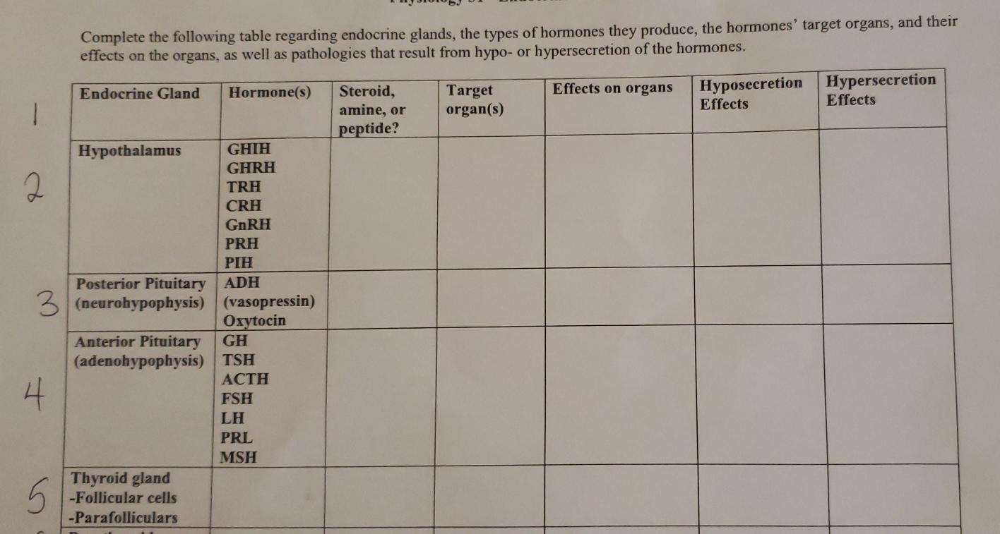 Solved Complete the following table regarding endocrine | Chegg.com