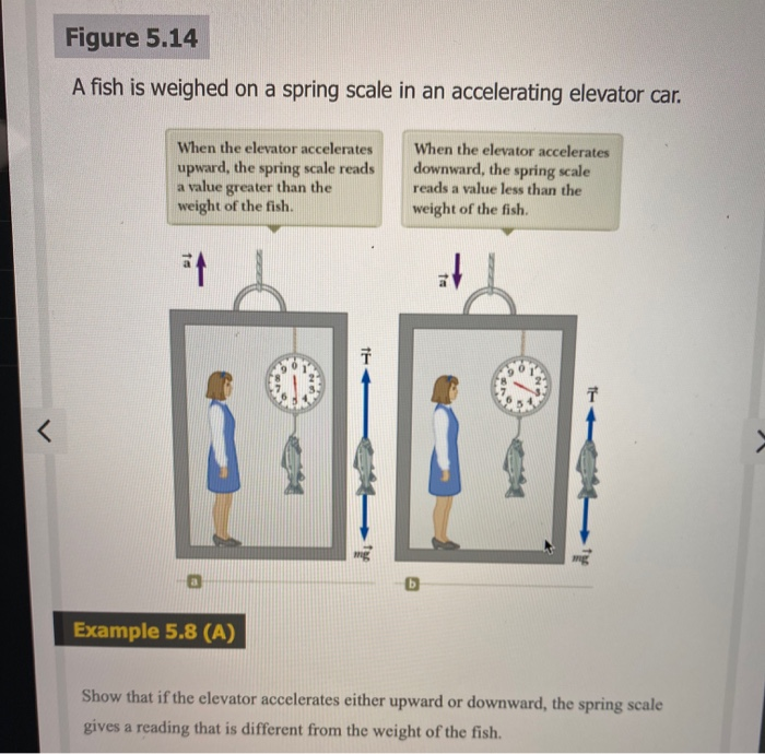 Solved Figure 5.14 A fish is weighed on a spring scale in an | Chegg.com