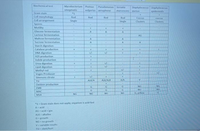 Solved create a dichotomous key for each gram negative and | Chegg.com