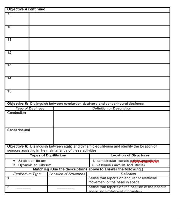 Solved Objective 4: Identify the structures of the outer, | Chegg.com