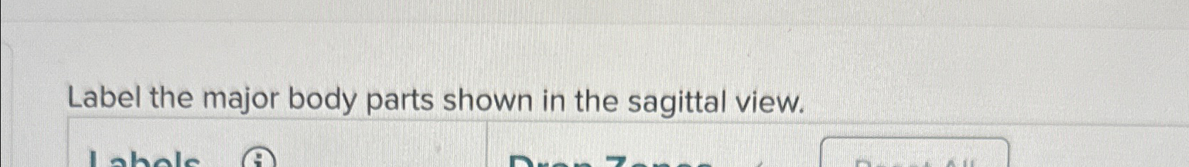 Solved Label the major body parts shown in the sagittal | Chegg.com