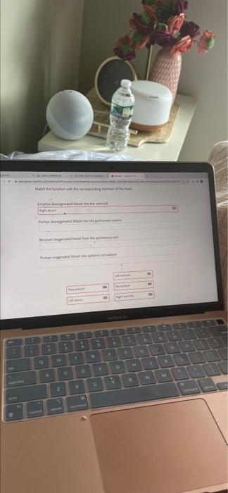 Solved Content → C esc tab caps lock shift X e WOR_ Fall | Chegg.com
