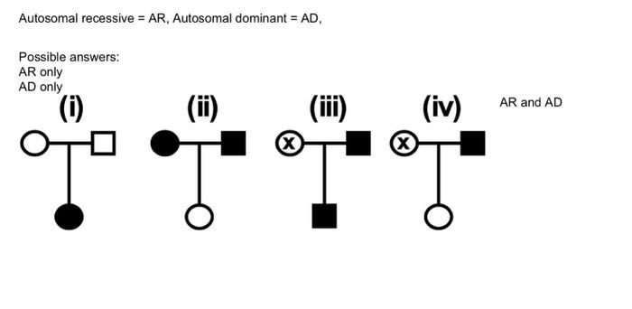 Solved For the mini pedigrees in below, identify all the | Chegg.com