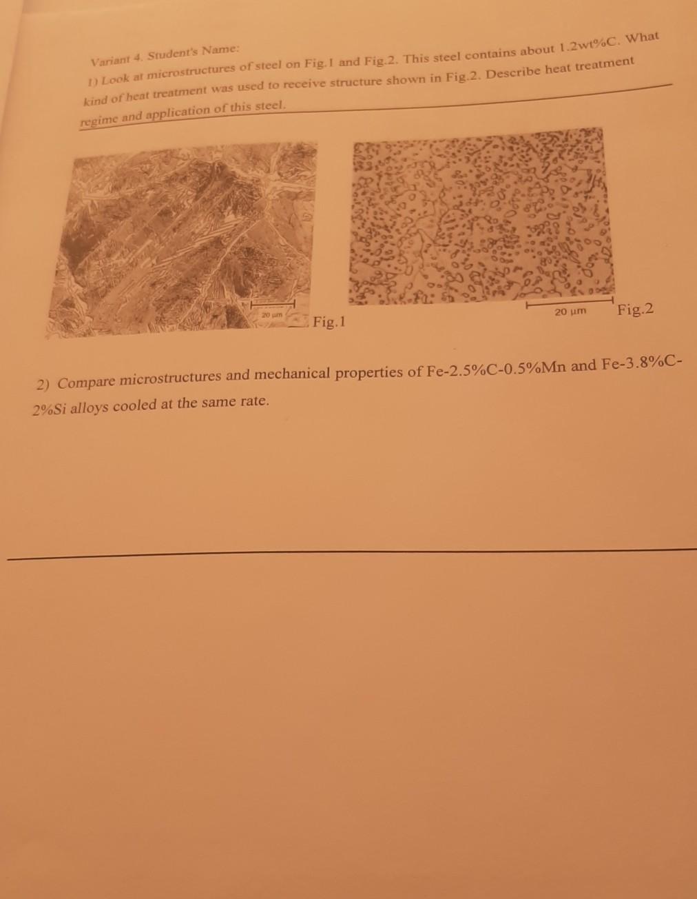 Solved Variant 4. Student's Name: 1) Look at microstructures | Chegg.com
