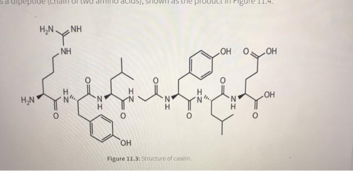 Solved Question 4 (3 points) Review the structure of casein | Chegg.com