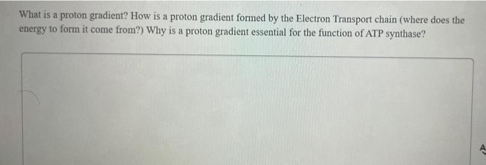 Solved What is a proton gradient? How is a proton gradient | Chegg.com