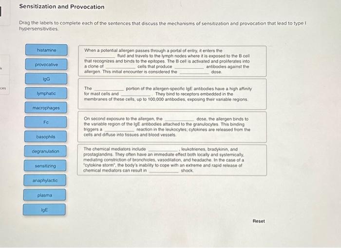 Solved Sensitization and Provocation Drag the labels to | Chegg.com