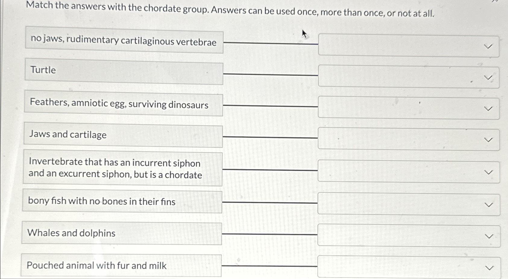 Solved Match the answers with the chordate group. Answers | Chegg.com