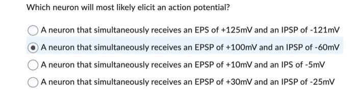 Solved Which neuron will most likely elicit an action | Chegg.com