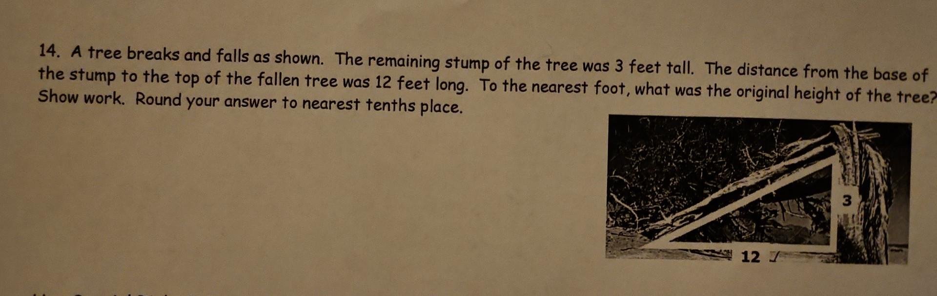 Solved 14. A tree breaks and falls as shown. The remaining | Chegg.com