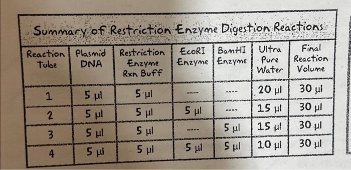 Solved Summary of Restriction Enzyme Digestion Reactions | Chegg.com