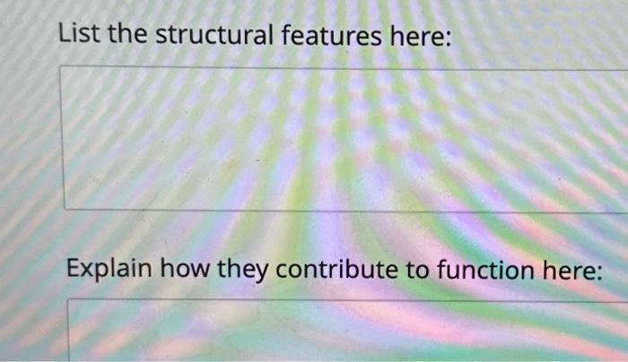 Solved List the structural features here: Explain how they | Chegg.com