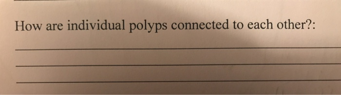 Solved How are individual polyps connected to each other?: | Chegg.com