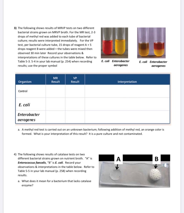 Solved 3) The following shows results of MRVP tests on two | Chegg.com