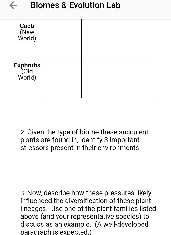 Solved Biomes & Evolution Lab Cacti (New World) Euphorbs | Chegg.com