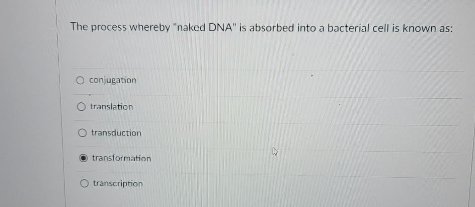 Solved The process whereby "naked DNA" is absorbed into a | Chegg.com