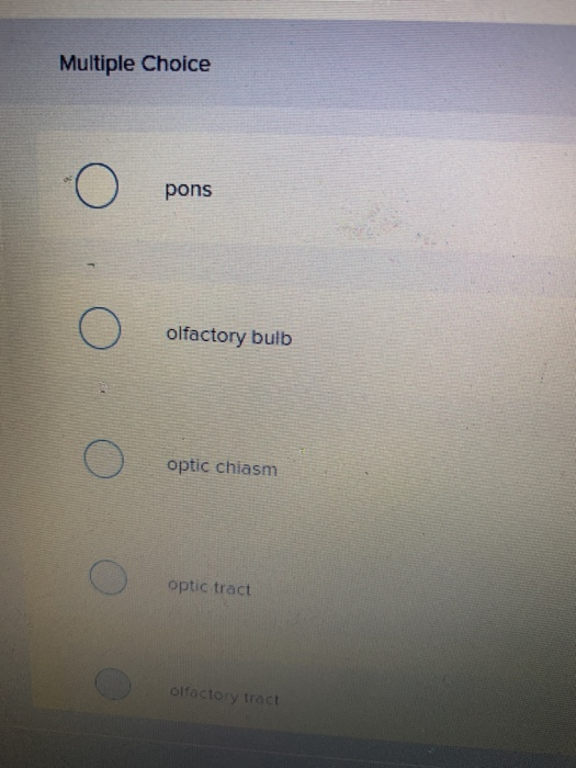 Solved Which structure is highlighted? Multiple Choice | Chegg.com