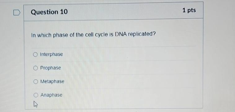 Solved Question 101 ﻿ptsIn which phase of the cell cycle is | Chegg.com