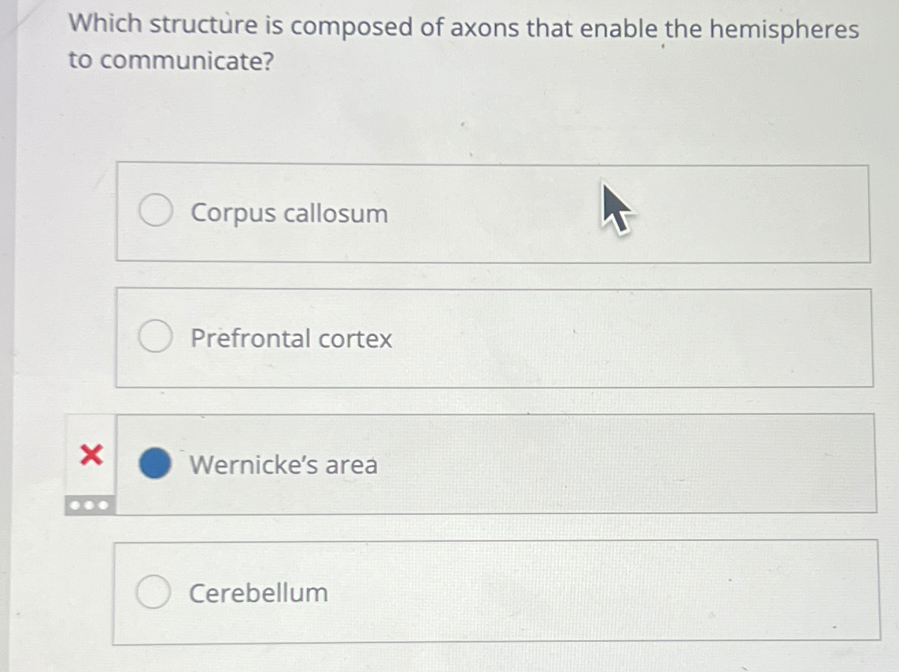 Solved Which structure is composed of axons that enable the | Chegg.com