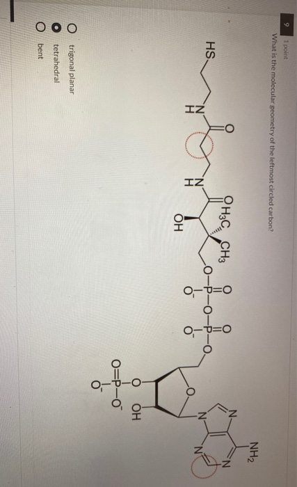 Solved 9 1 point What is the molecular geometry of the | Chegg.com