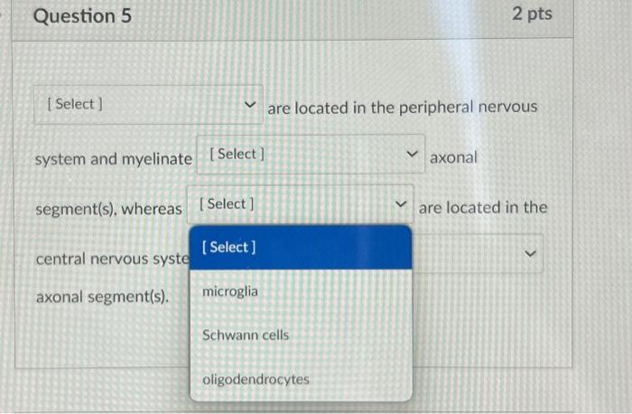 Solved 10 Question 5 2pts [Select ] are located in the | Chegg.com