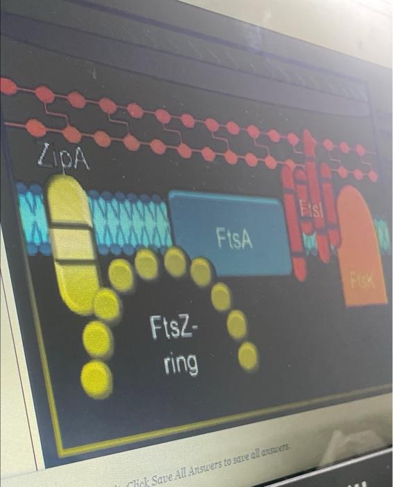 Solved the question is: using this figure as a guide,answer | Chegg.com