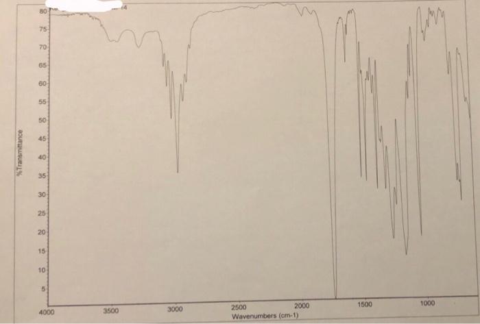 Solved prepare a structure with the molecular formula | Chegg.com