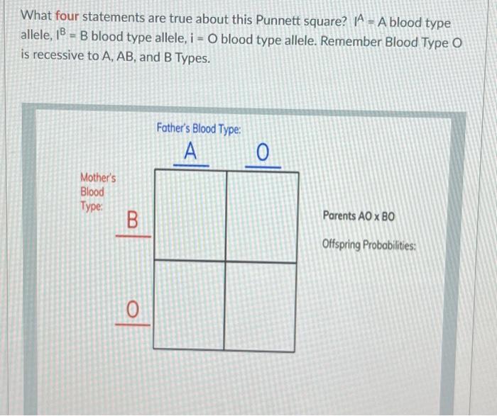 Solved What four statements are true about this Punnett | Chegg.com