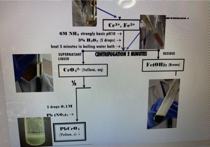 Solved Cr3+, Fe3+, Fe2+, Ni2+ 2 drops GM HCI- Add GM NH3 | Chegg.com