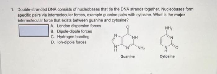 Solved 1. Double-stranded DNA consists of nucleobases that | Chegg.com