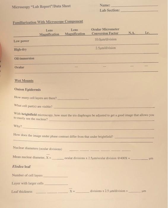 Solved Microscopy "Lab Report"/Data Sheet Name: Lab Section: | Chegg.com