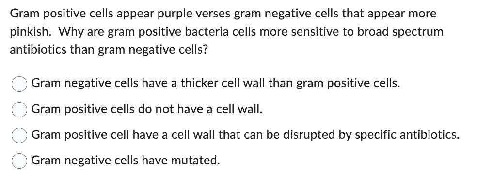 Solved Gram positive cells appear purple verses gram | Chegg.com