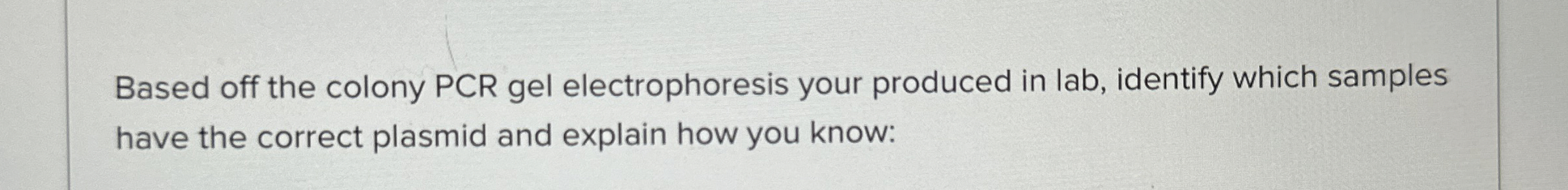 Solved Based off the colony PCR gel electrophoresis your | Chegg.com