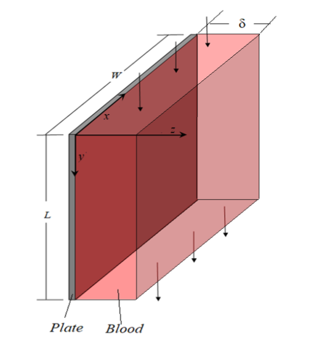 A blood oxygenator consists of rectangular plates as | Chegg.com