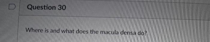 Solved Where is and what does the macula densa do? 1. What | Chegg.com