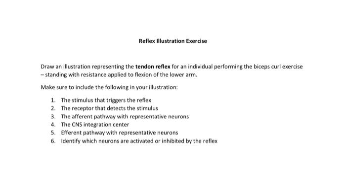 Solved Draw an illustration representing the tendon reflex | Chegg.com