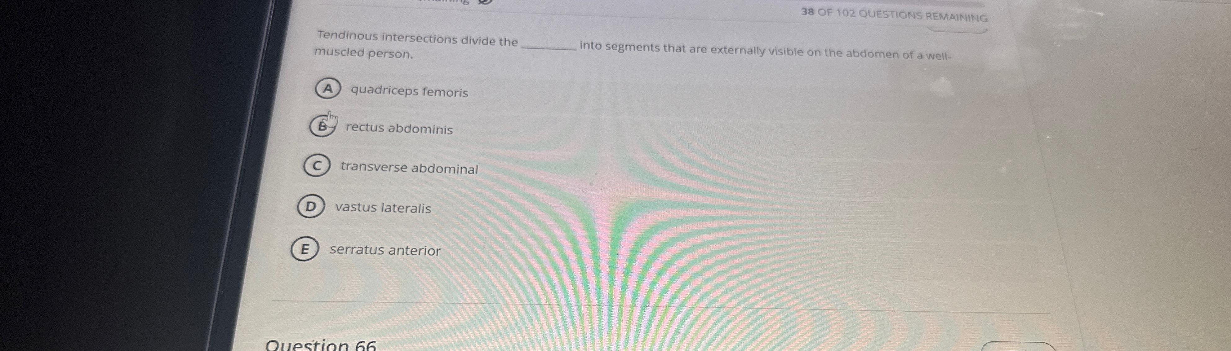 Solved 38 ﻿OF 102 ﻿QUESTIONS REMAININGTendinous | Chegg.com