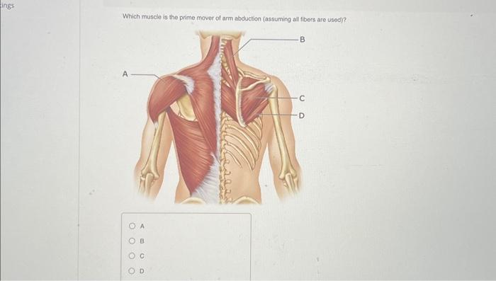 Solved Which of the following corresponds to a single | Chegg.com