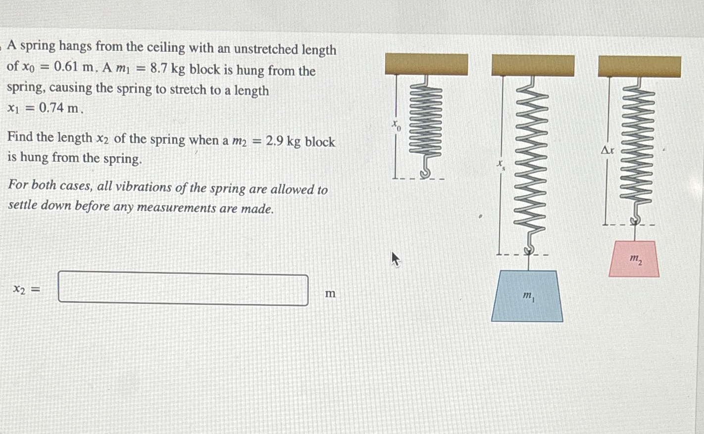 Solved A spring hangs from the ceiling with an unstretched | Chegg.com