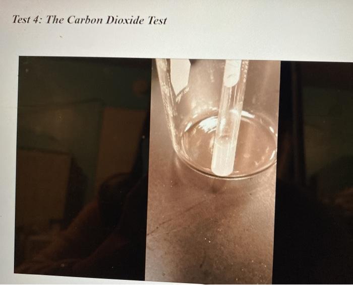 Solved Experiment 9: Qualitative Analysis of Common Anions | Chegg.com