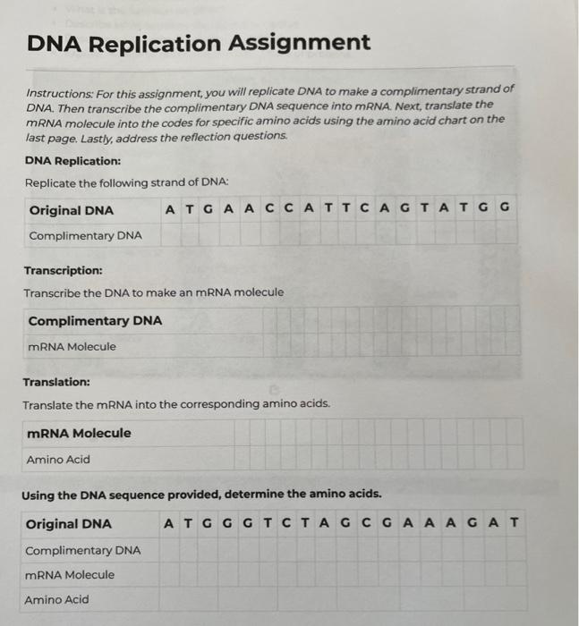 Solved DNA Replication Assignment Instructions: For this | Chegg.com