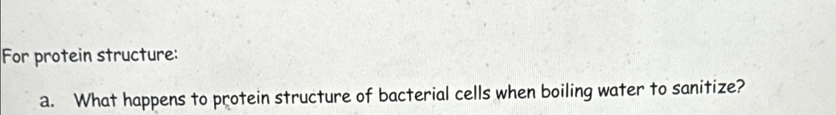 Solved For protein structure:a. ﻿What happens to protein | Chegg.com