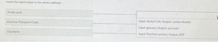 Solved you learned of the experiments and the validity of | Chegg.com