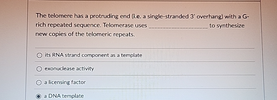 Solved The telomere has a protruding end (i.e. ﻿a | Chegg.com