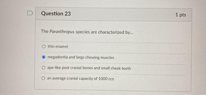 Solved Question 23 1 pts The Paranthropus species are | Chegg.com