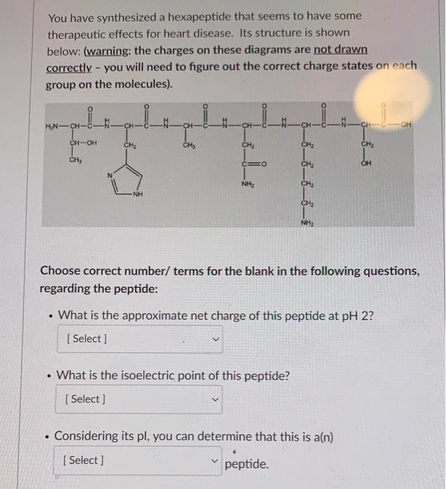 Solved You have synthesized a hexapeptide that seems to have | Chegg.com