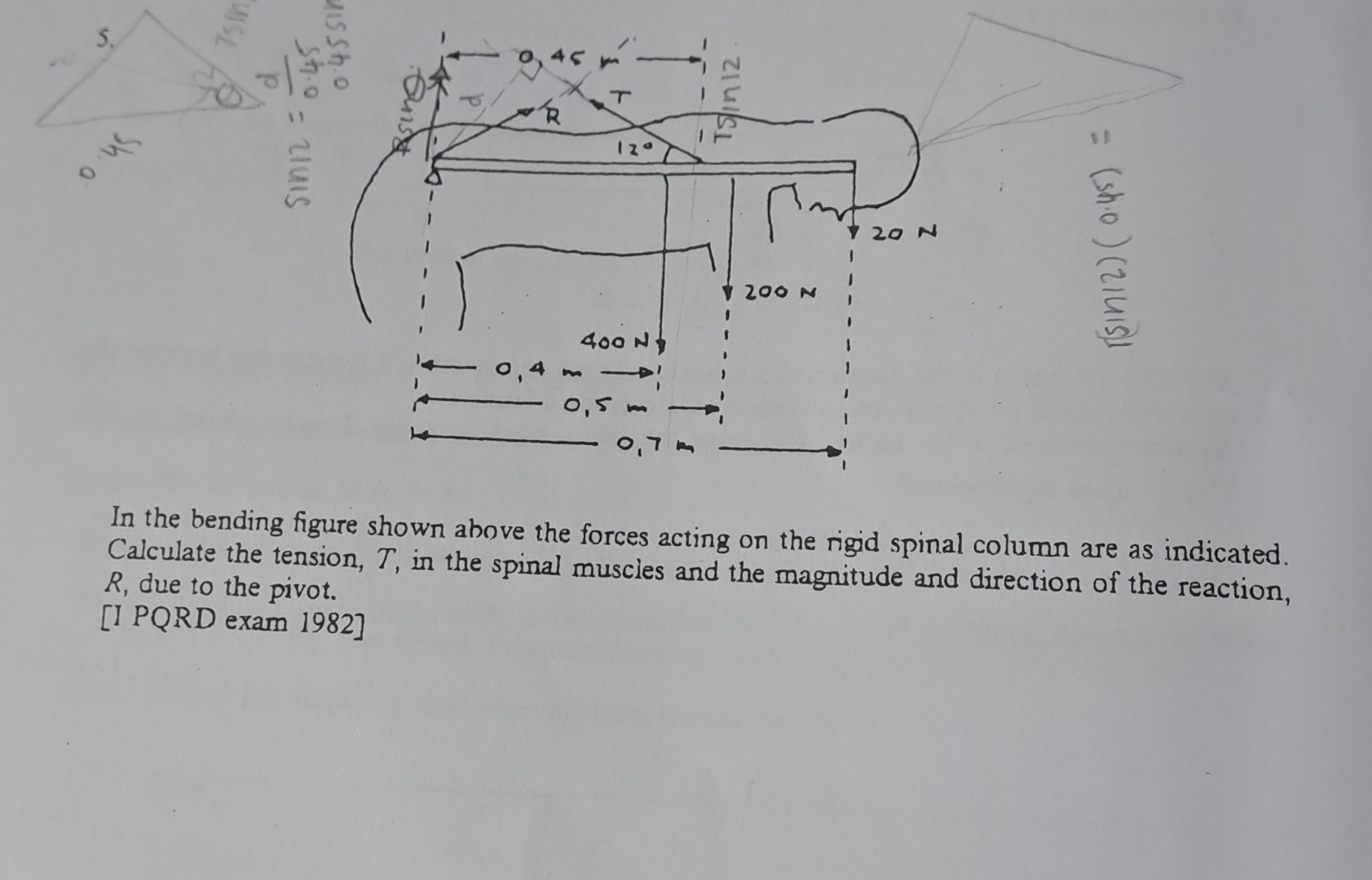 Solved 5,In the bending figure shown above the forces acting | Chegg.com
