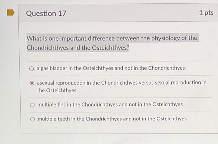 Solved What is one important difference between the | Chegg.com
