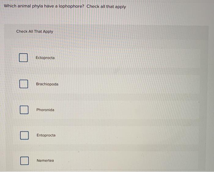 Solved Which animal phyla have a lophophore? Check all that | Chegg.com